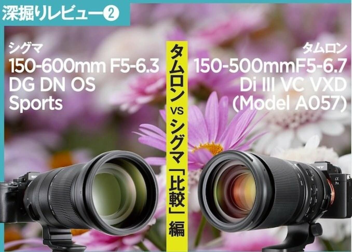 一度使うと絶対欲しくなる！ フルサイズミラーレス用超望遠レンズレビュー[2]：シグマ Vs タムロン（eマウント）編