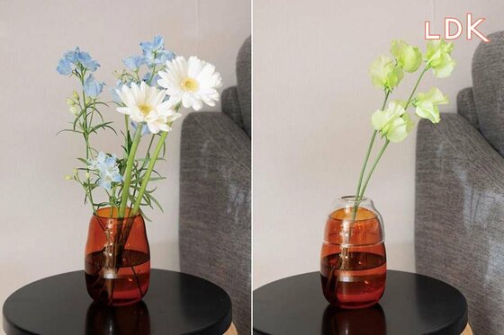 100均の2アイテムでトイレ用棚をDIY！ 直置き回避で掃除のプチストレス、解消しちゃお【LDK】